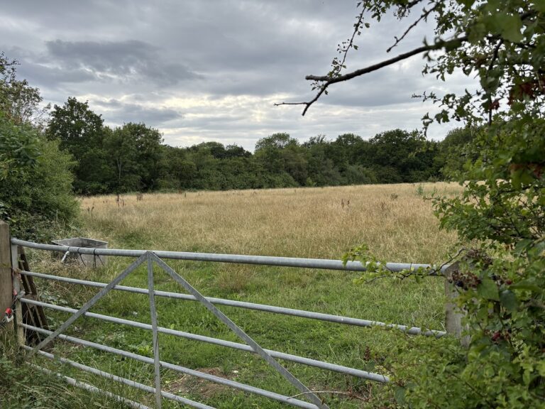 Family needs for travellers’ caravan site outweighs Green Belt ...