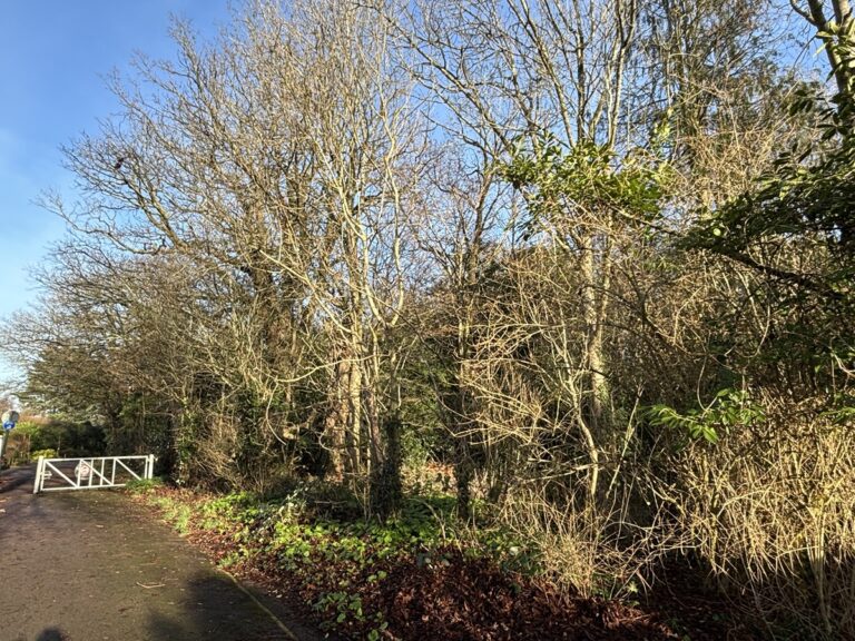 Hadley Green residents line up in opposition to housing development in ...