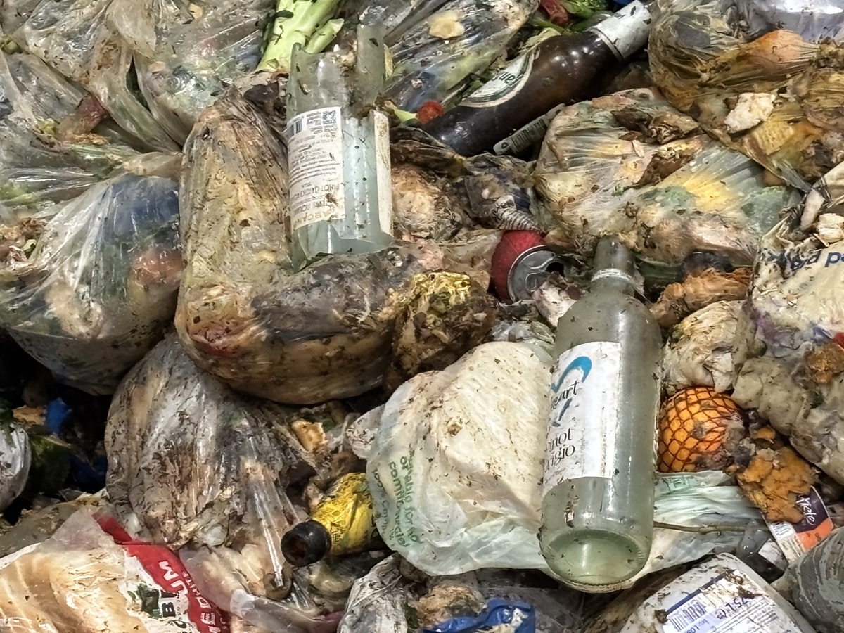 Food waste being collected on bin days from homes across Borough of ...